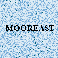 mooreast : Company History
